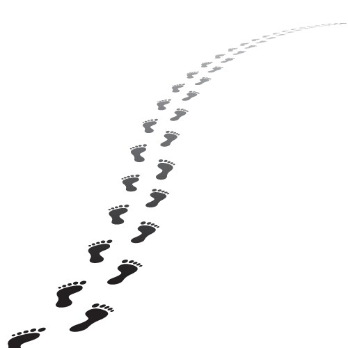 Shoe tracks collection Royalty Free Vector Image