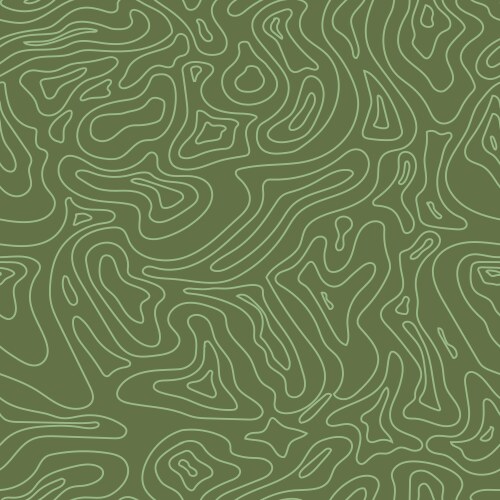 Topographic map seamless pattern Royalty Free Vector Image