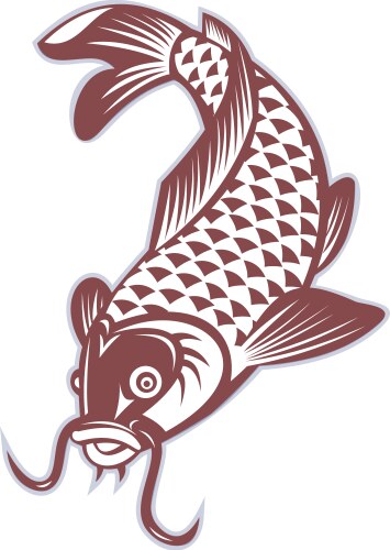 Carp Vector Images (over 11,000)