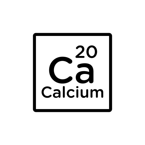 Calcium line icon isolated on white background Vector Image