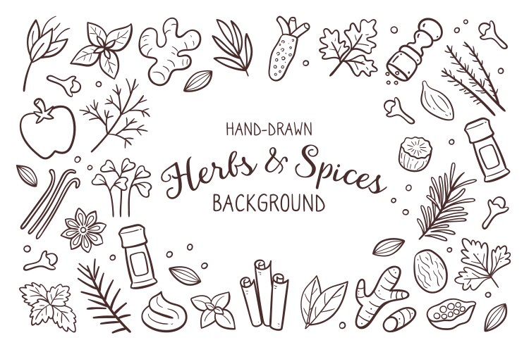 Doodle leaves and plants Royalty Free Vector Image