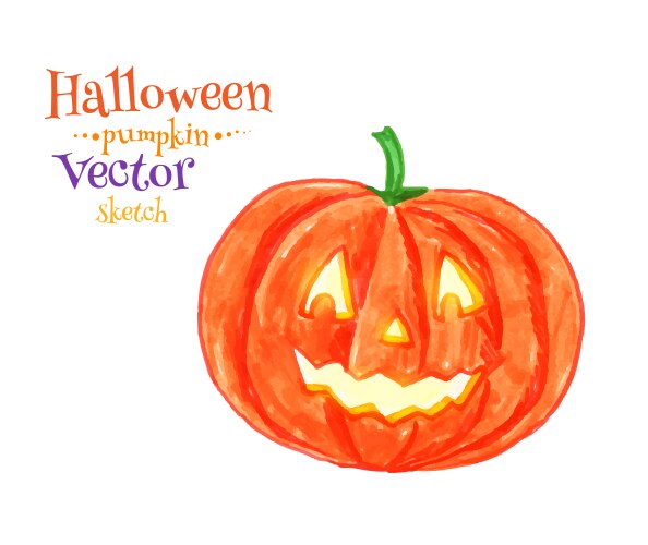 Pumpkin fruit Royalty Free Vector Image - VectorStock