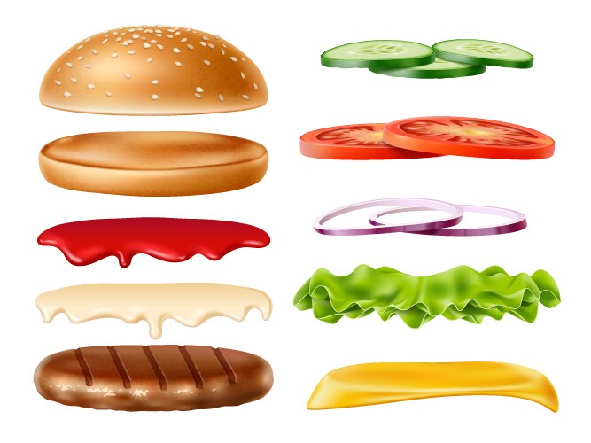 Burger Royalty Free Vector Image - VectorStock
