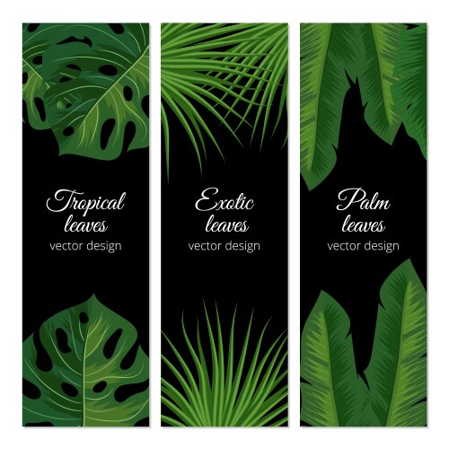 Tropical leaves poster set Royalty Free Vector Image