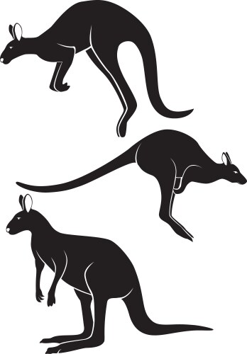 Kangaroo Vector Images (over 16,000)