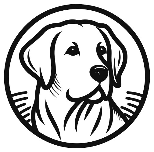 Labrador line art drawing Royalty Free Vector Image