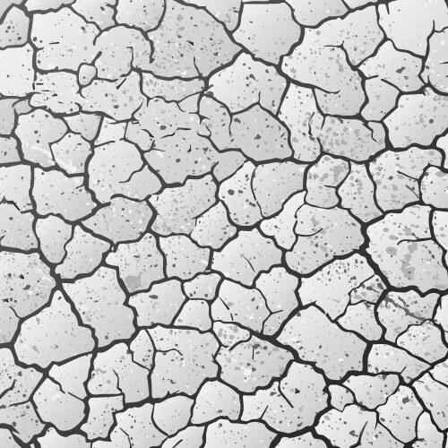 Dry cracked soil Royalty Free Vector Image - VectorStock