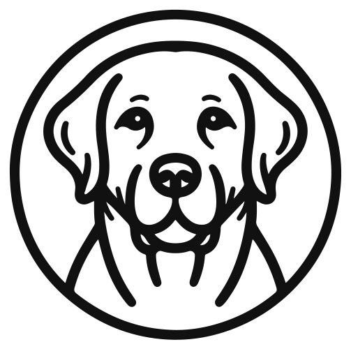 Labrador line art drawing Royalty Free Vector Image