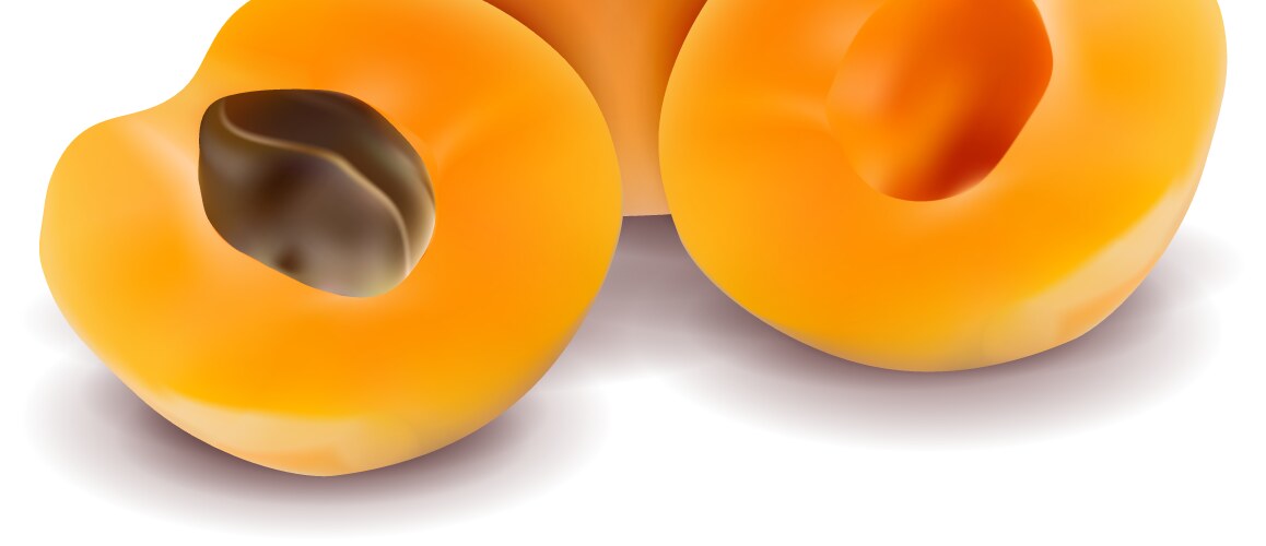 Apricot Vector Images (over 18,000)