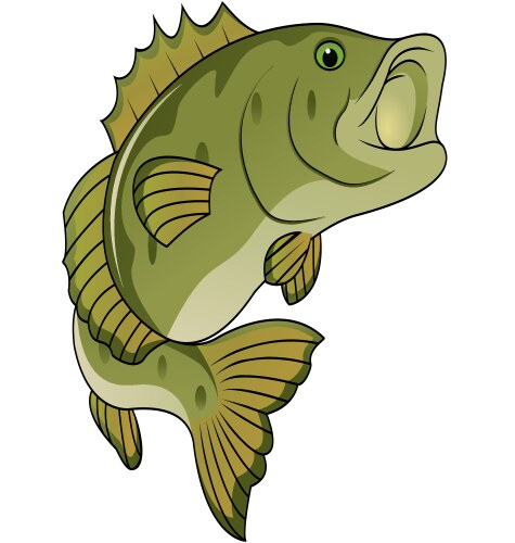 Cartoon bass fish isolated on white background Vector Image