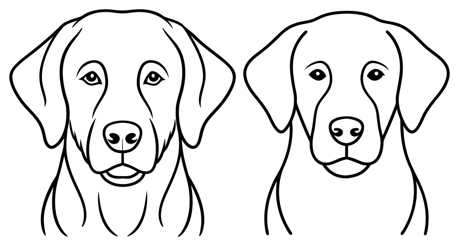 Labrador line art labrador line drawing labrador Vector Image