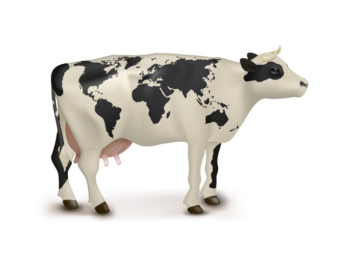 Cow isolated on white cartoon character Royalty Free Vector