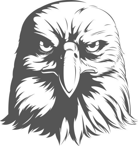 Eagle Outline Vector Images (over 13,000)