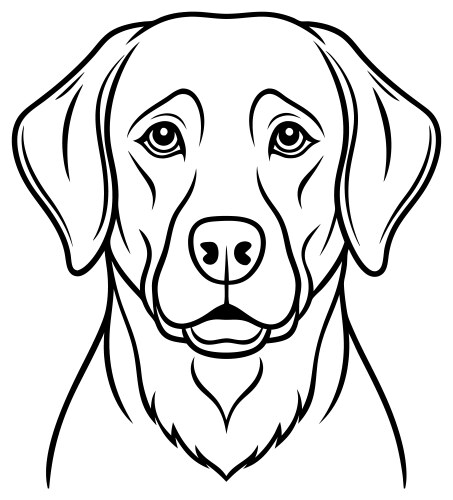 Labrador line art drawing Royalty Free Vector Image
