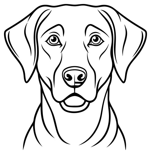 Labrador line art drawing Royalty Free Vector Image