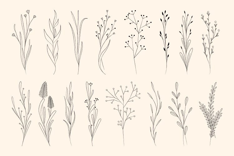 Line art floral elements Royalty Free Vector Image