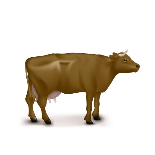 Cow Side View Vector Images (over 880)