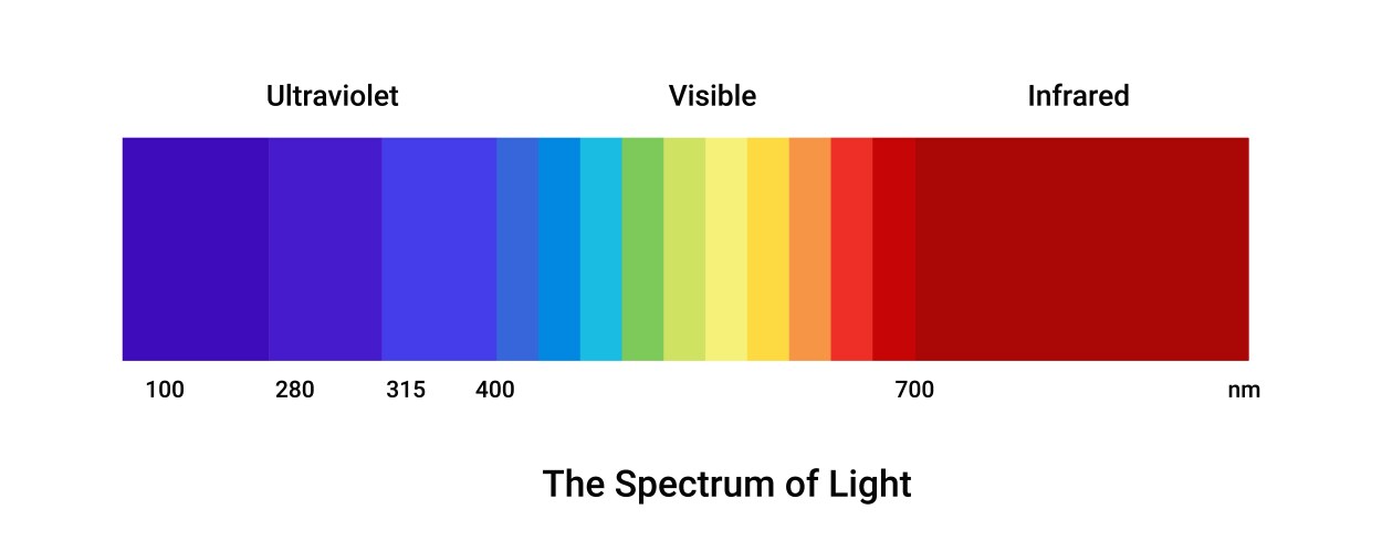 Spectrum light scale led diagram with visible Vector Image