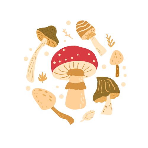 Toadstool Vector Images (over 10,000)