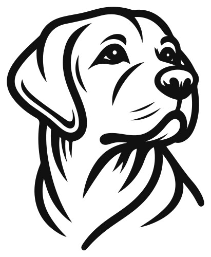 Labrador line art drawing Royalty Free Vector Image