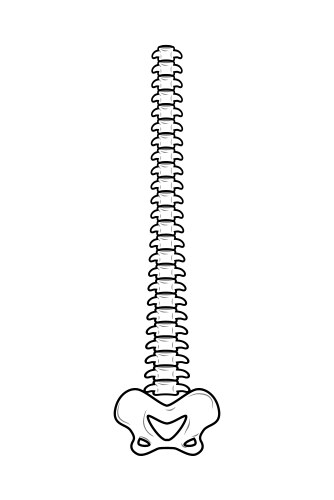 Spine icon skeletal orthopedic and spinal Vector Image