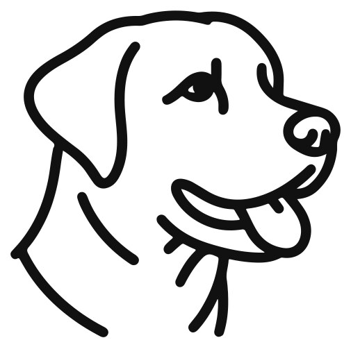 Labrador line art drawing Royalty Free Vector Image