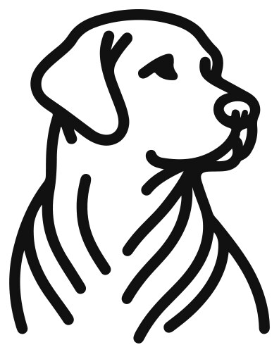 Labrador line art drawing Royalty Free Vector Image