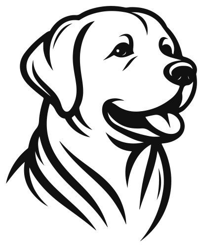 Labrador line art drawing Royalty Free Vector Image