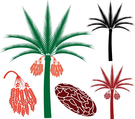 Date tree icon Royalty Free Vector Image - VectorStock