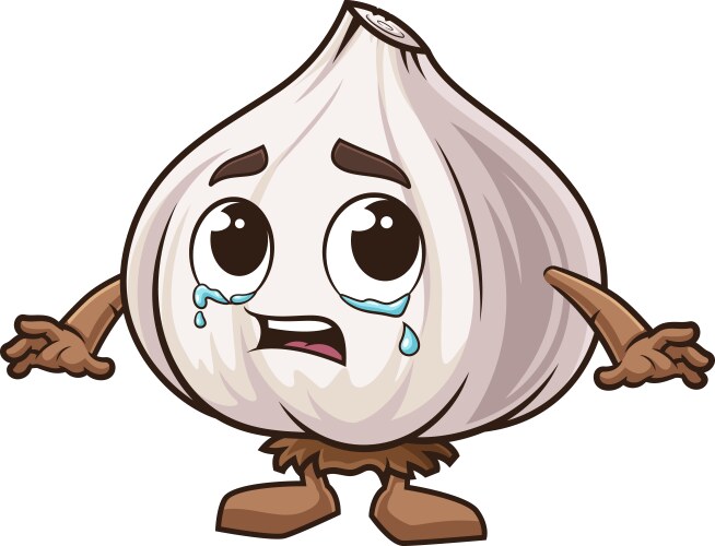Garlic Vector Images (over 26,000)