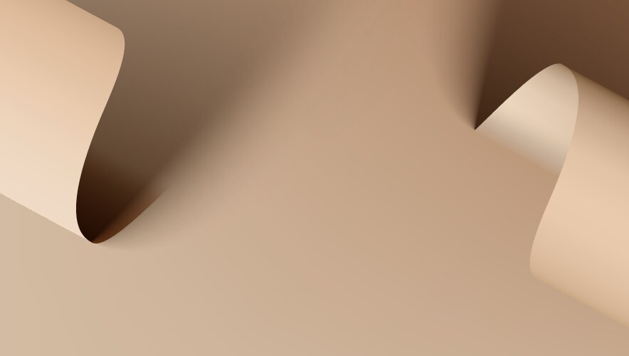 3d white color curled paper roll background Vector Image