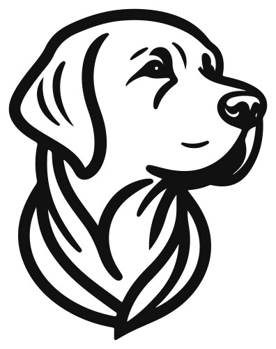 Labrador line art labrador line drawing labrador Vector Image