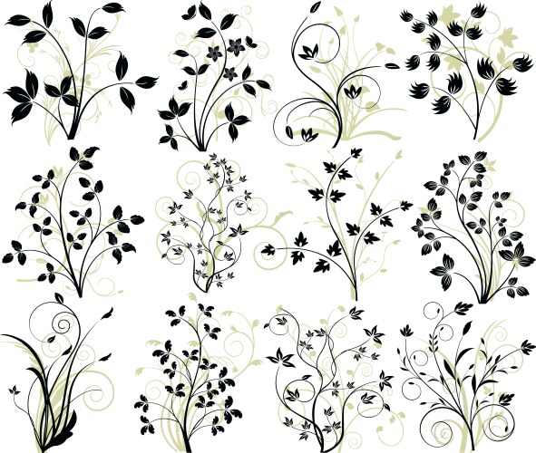 Floral design elements Royalty Free Vector Image