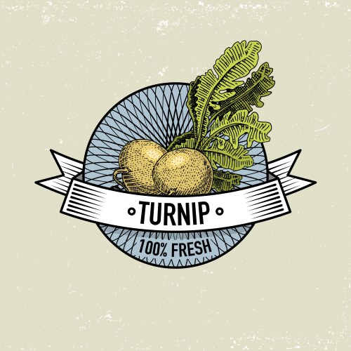 Turnip Logo Vector Images (over 350)