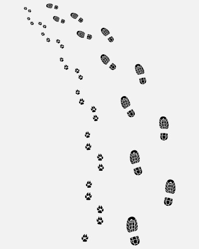 Animals footprints animal feet silhouette frog Vector Image
