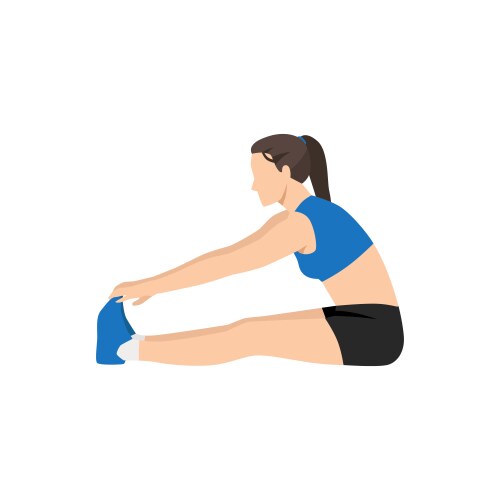 Woman doing standing side bend stretch exercise Vector Image