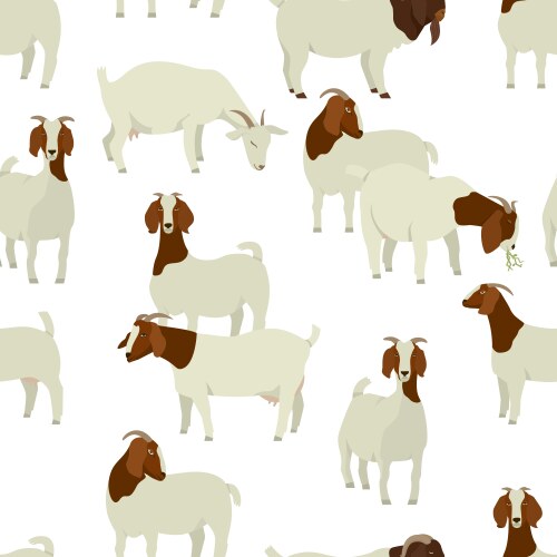 Boer Goats Vector Images (70)