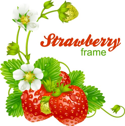 Strawberry Vector Images (over 120,000)