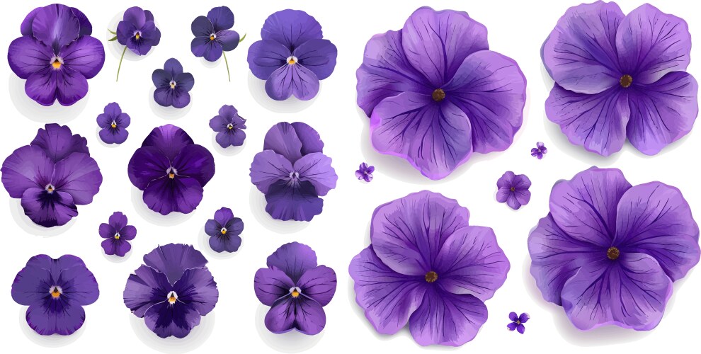 Violet Vector Images (over 240,000)