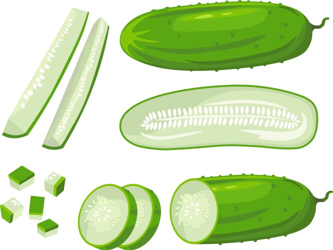Fresh cucumber cartoon Royalty Free Vector Image