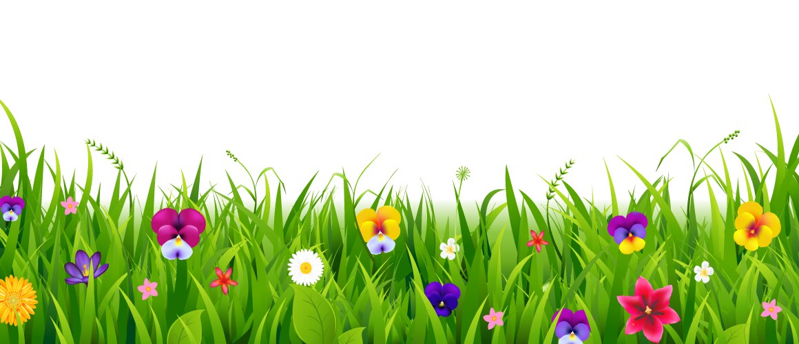 Spring garden grass and flowers border cartoon Vector Image