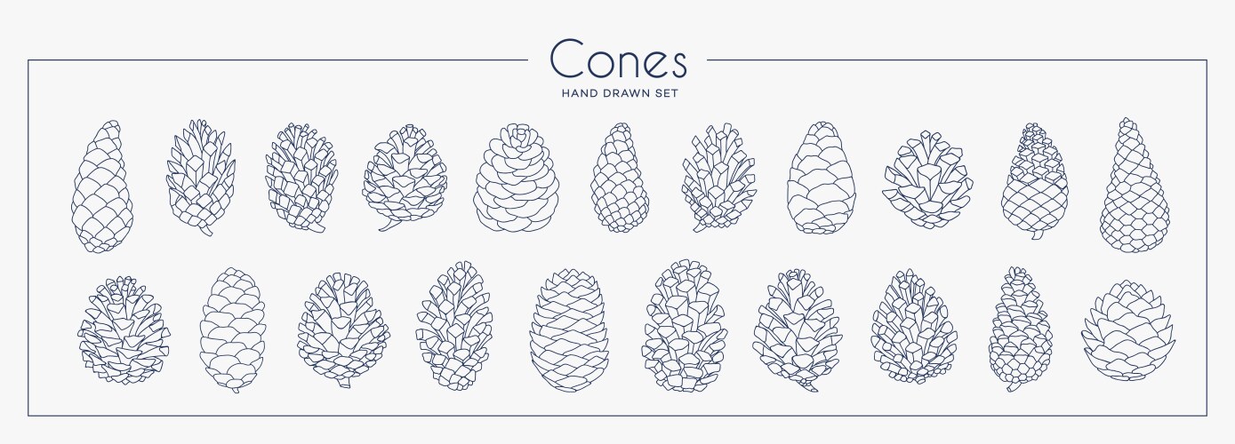 Pine cones collection set Royalty Free Vector Image