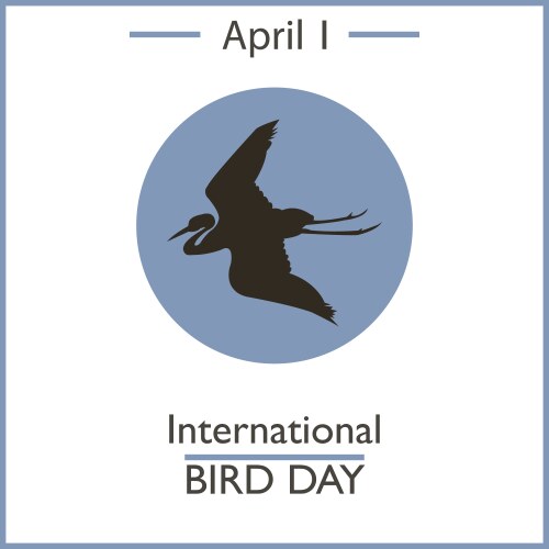 Happy Bird Day Vector Images (over 19,000)
