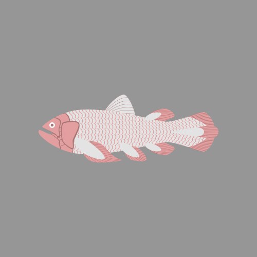Fish Coelacanth Prehistoric Vector Images (96)