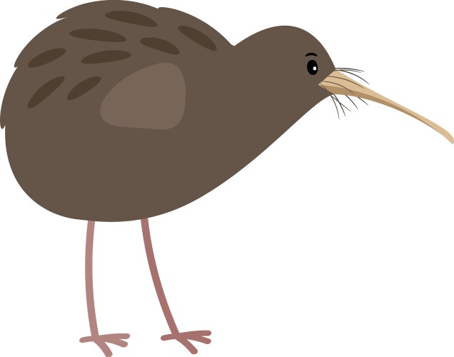 Quail cartoon bird icon Royalty Free Vector Image