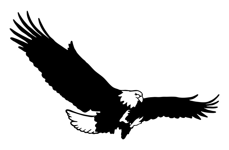 Graceful soaring eagle Royalty Free Vector Image