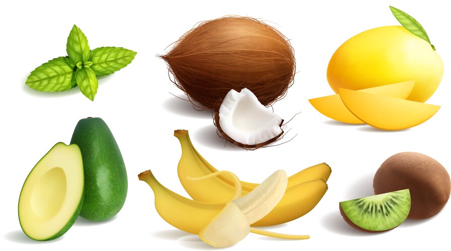 Different fruits Royalty Free Vector Image - VectorStock