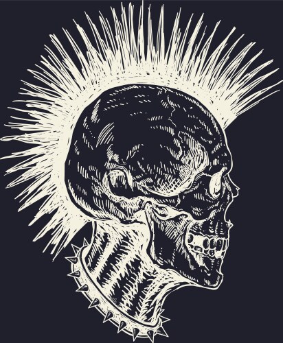 Mohawk Hair Vector Images (over 490)