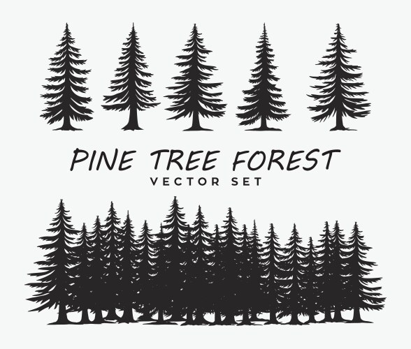 Pine Tree Texture Vector