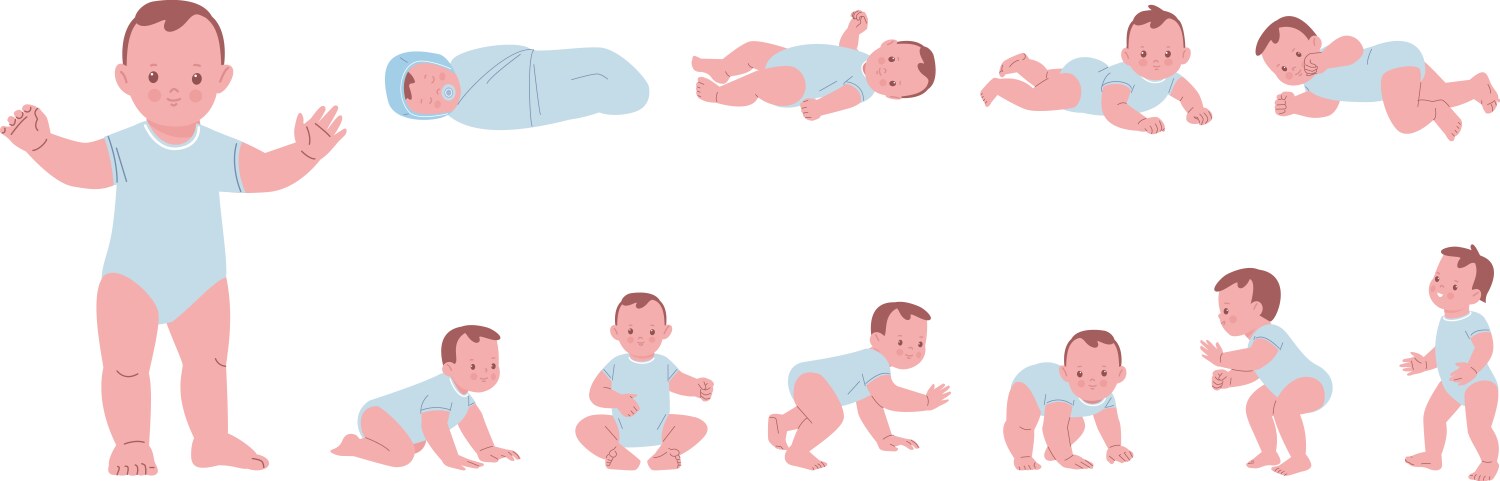 Baby growth stages development process from Vector Image
